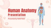Free and customizable anatomy templates